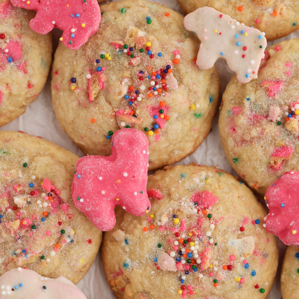 Circus Animal Sugar Cookies - Marisa Bakes